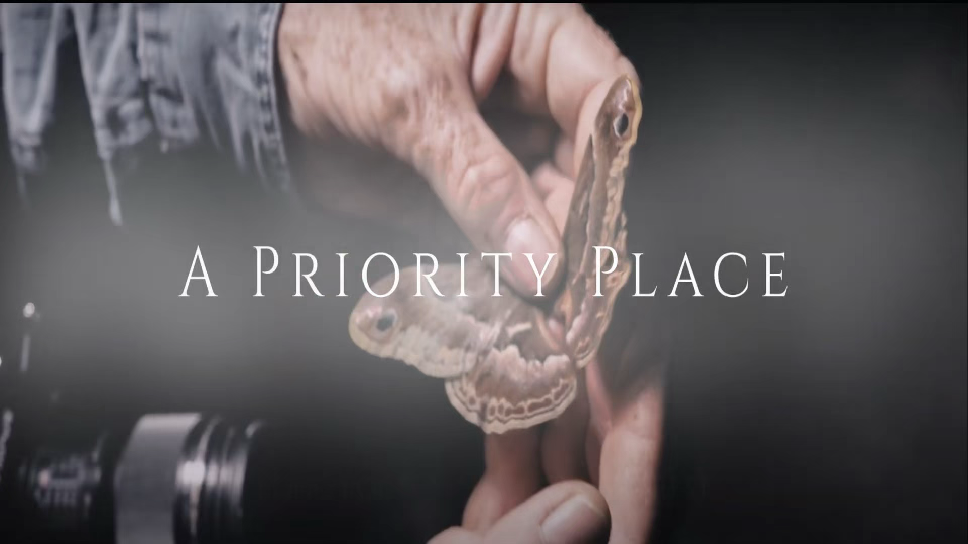 Discover great films in creative spaces | Kinema